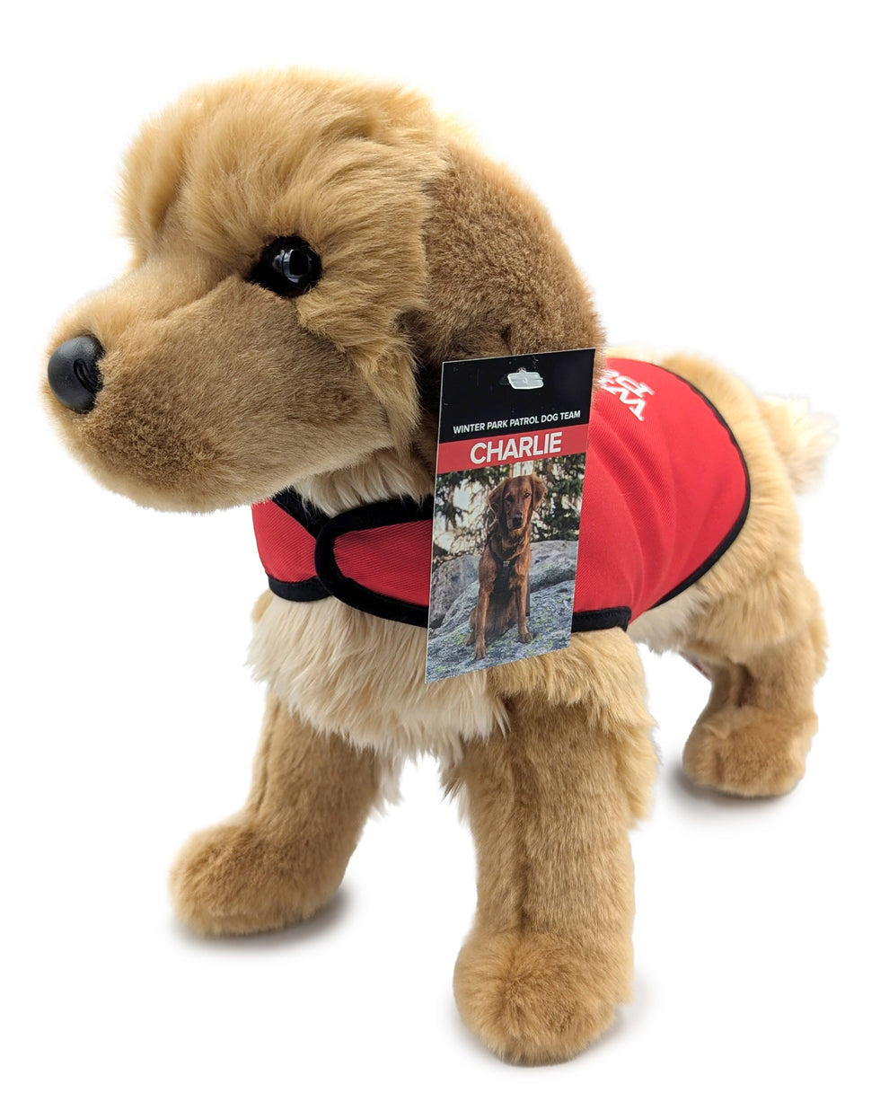 Patrol Pup - Charlie